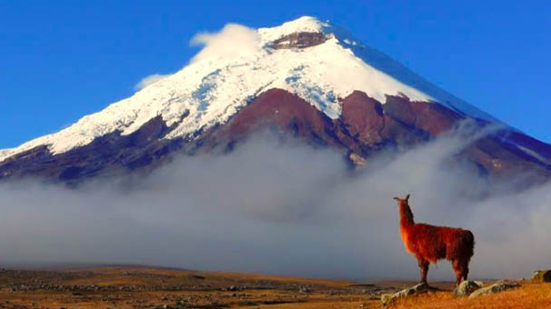 Volcan Chimborazo - Lugares De Nuestro País Ecuador