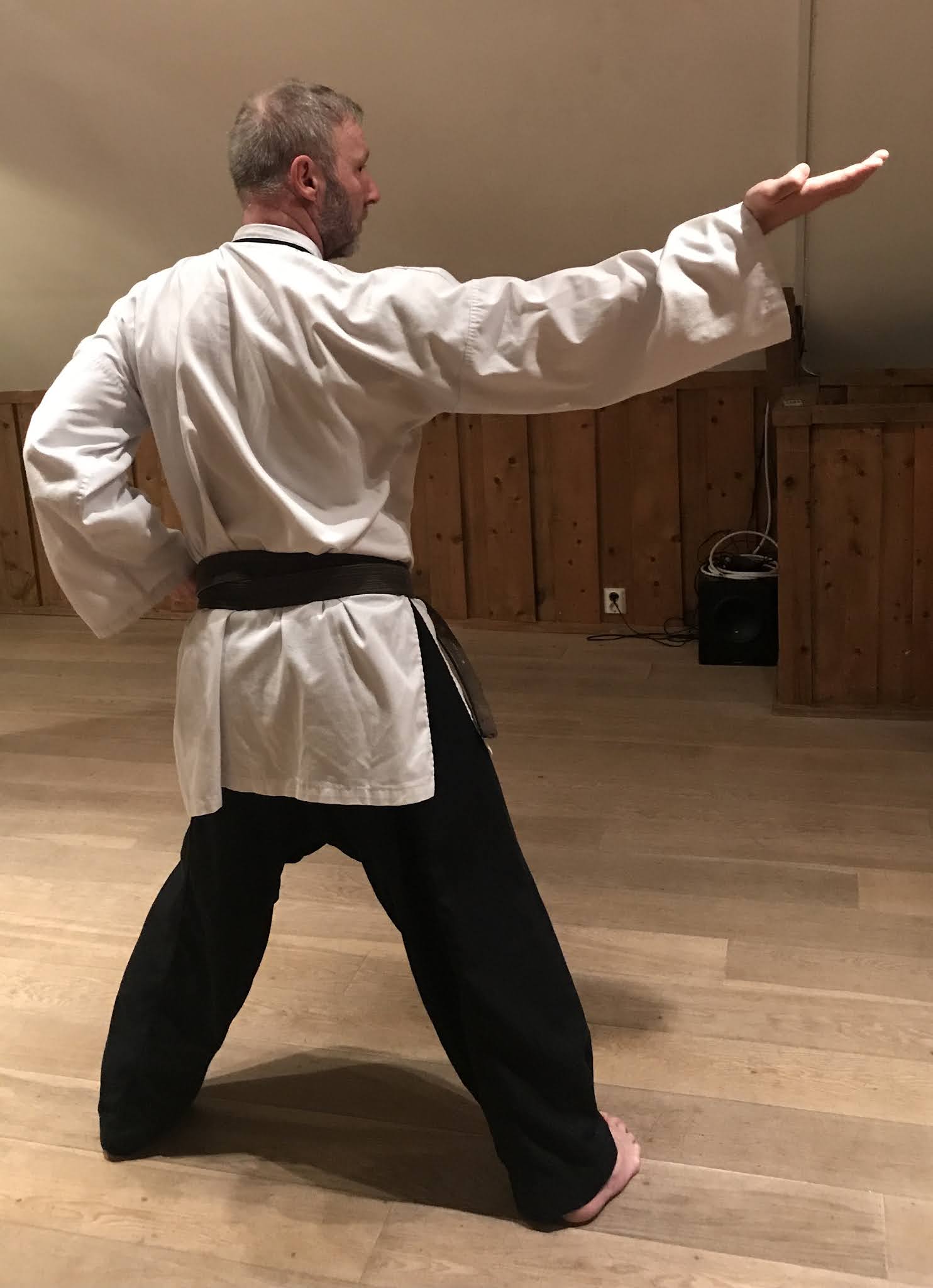 Traditional Taekwondo Ramblings: The Original Koryo Hyung Part 2: Kim ...