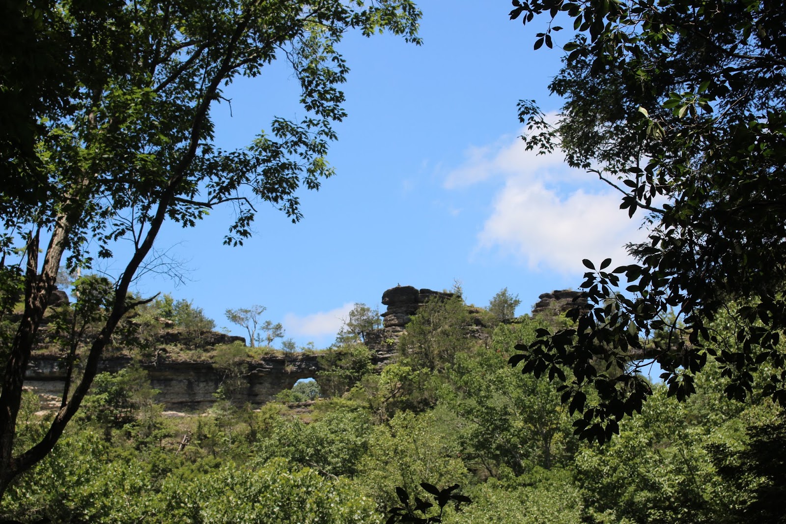 Cumberland Gal: Window Cliffs State Natural Area Hike