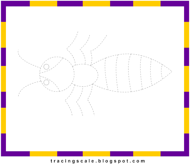 Free Tracing worksheet Printable: Ant Tracing