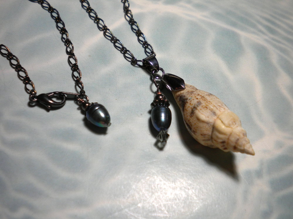 Del's Shells: Sunshine & Seashells