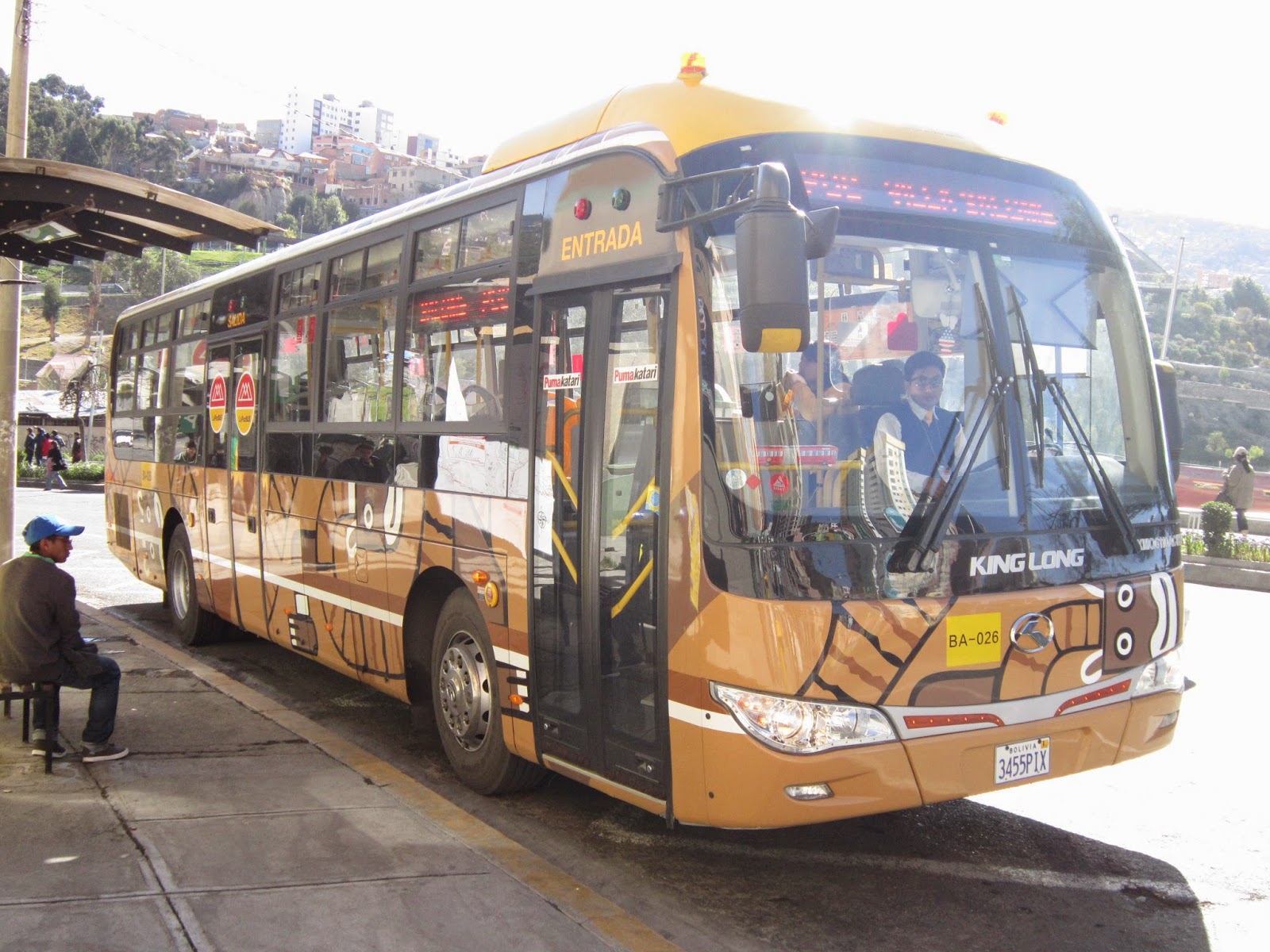 PUMA KATARI: NUESTRO PUMA KATARI