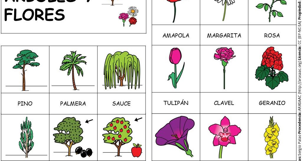 AUDICIÓN Y LENGUAJE: VOCABULARIO: Árboles y flores