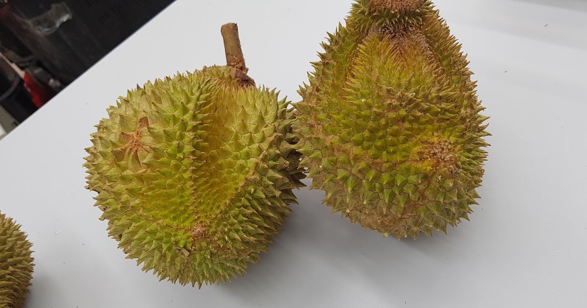 Durianlicious: Let's Kasap some Ice Cream Durian