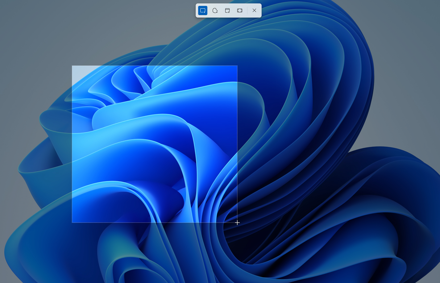 Ecco i primi refresh delle App Microsoft in Windows 11