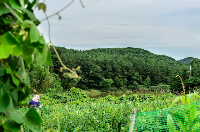 Korean Countryside | 10 Pictures in Pohang