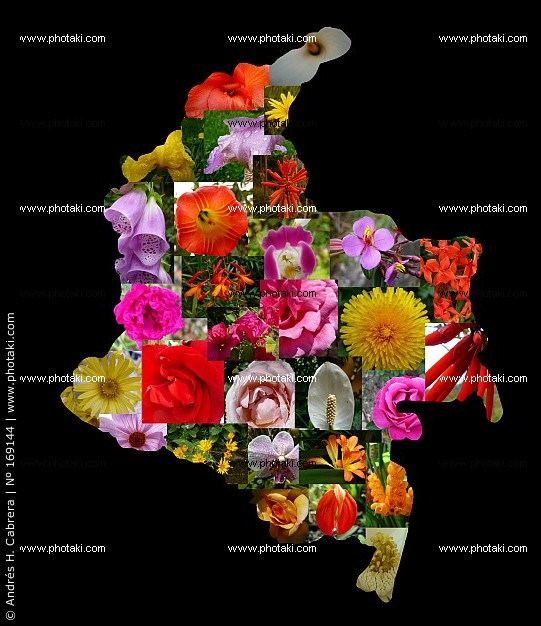 FAUNA Y FLORA, Lo mas importante de la naturaleza: FAUNA Y FLORA COLOMBIANA