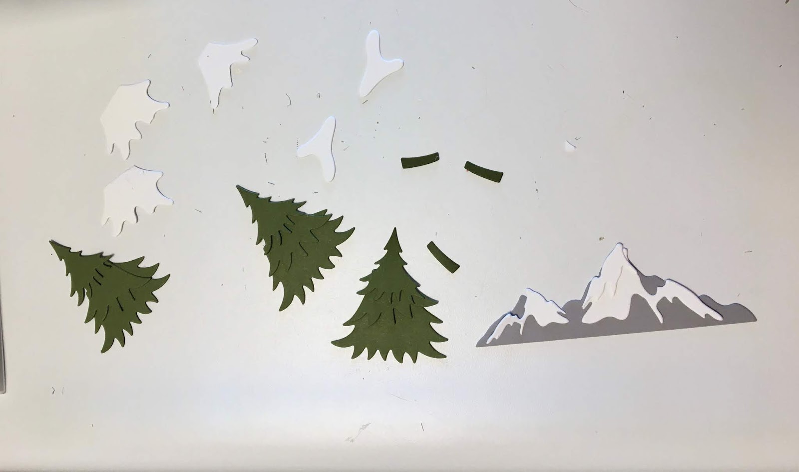 CottageCutz: Extraordinary!