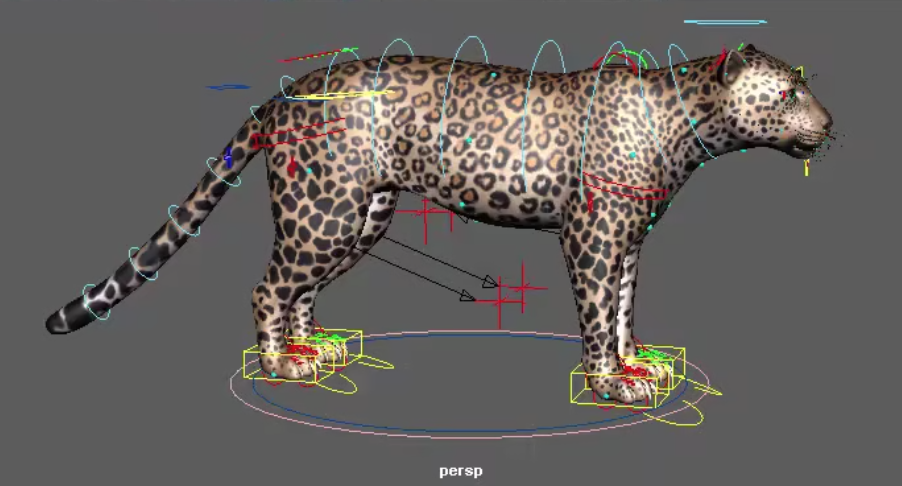 Leopard Walk Locomotion Tutorial at Vimeo - REFERENCES FILM CHILDREN