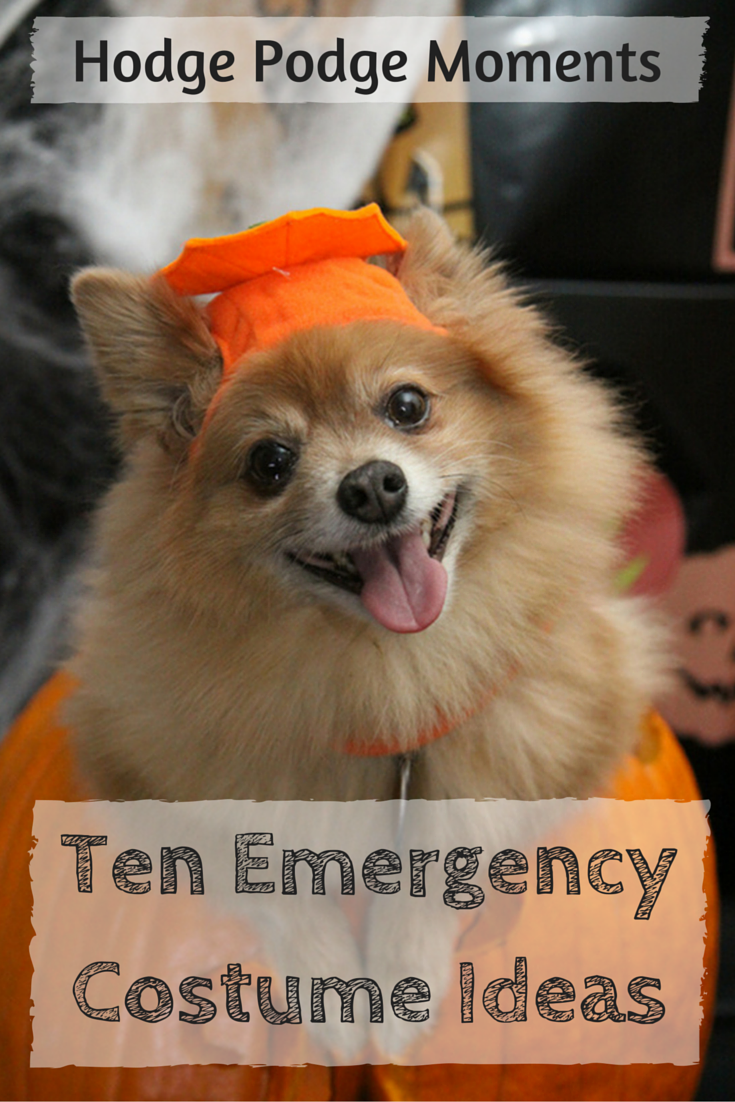 Ten Emergency Costume Ideas | Hodge Podge Moments