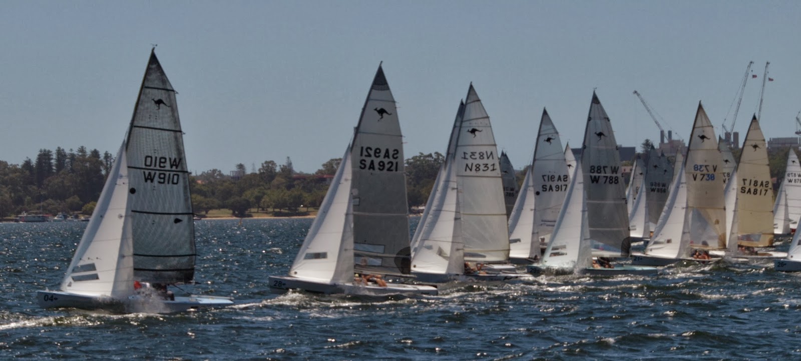 Observations in an undemocratic world: Australian Lightweight Sharpie ...