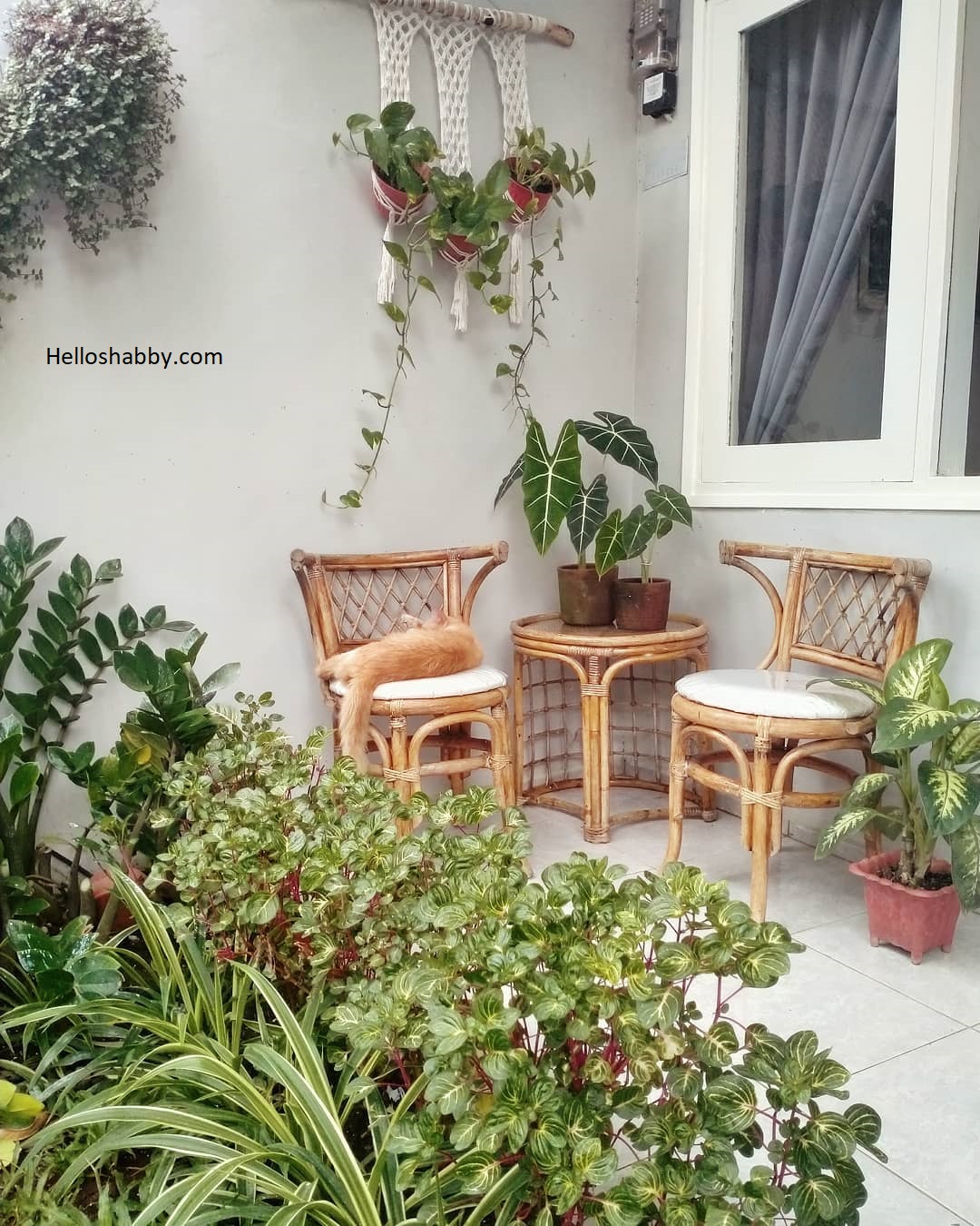 6 Langkah Cara Menata Bunga Di Teras Rumah, Agar Terlihat Cantik ...