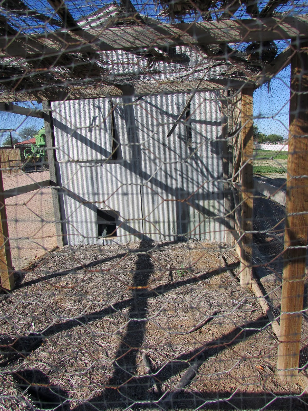 Chandler's Tumbleweed Ranch