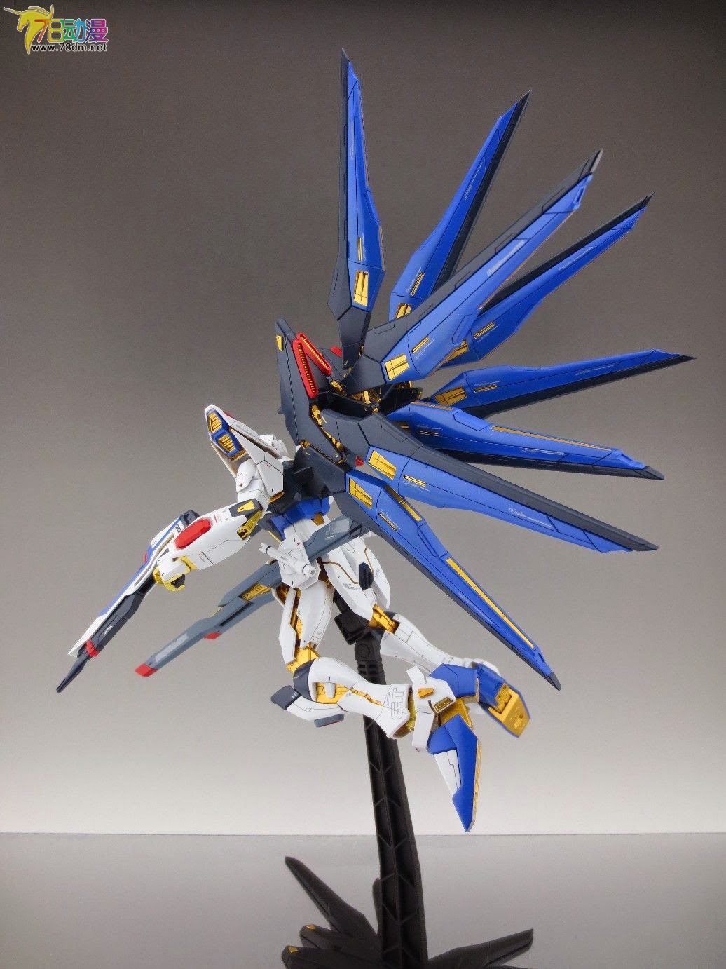 Gundam Family: MG 1/100 Strike Freedom Gundam Custom Build