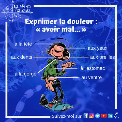 Où tu as mal? (Avoir mal à)