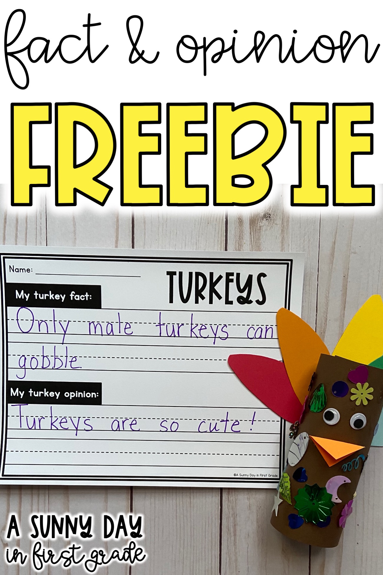Turkey Fact & Opinion Freebie | A Sunny Day in First Grade