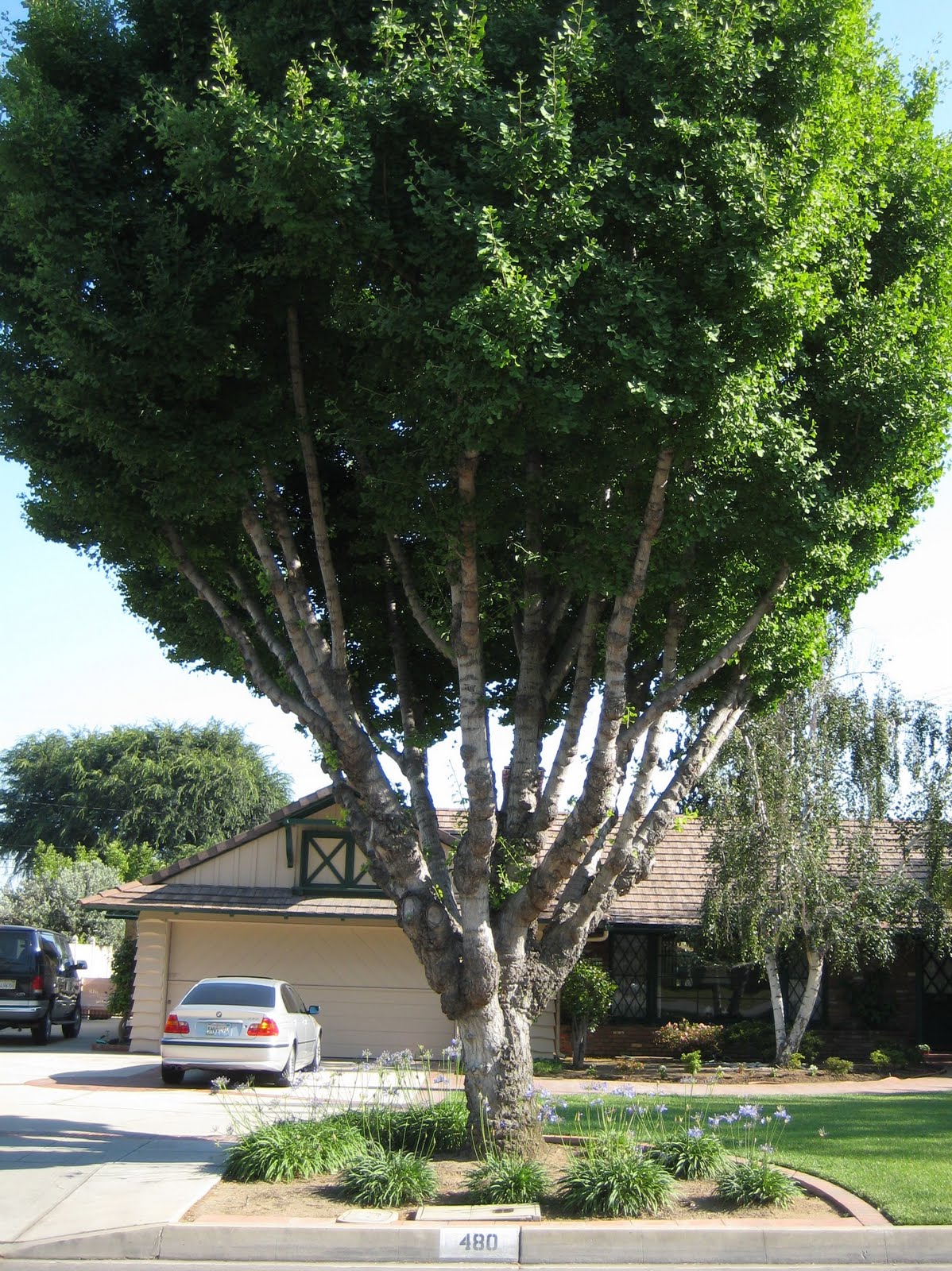 Branch Work: Jim Barrett