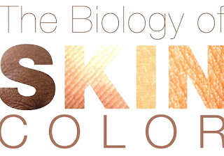 Human Skin Color - Human Skin Color Names