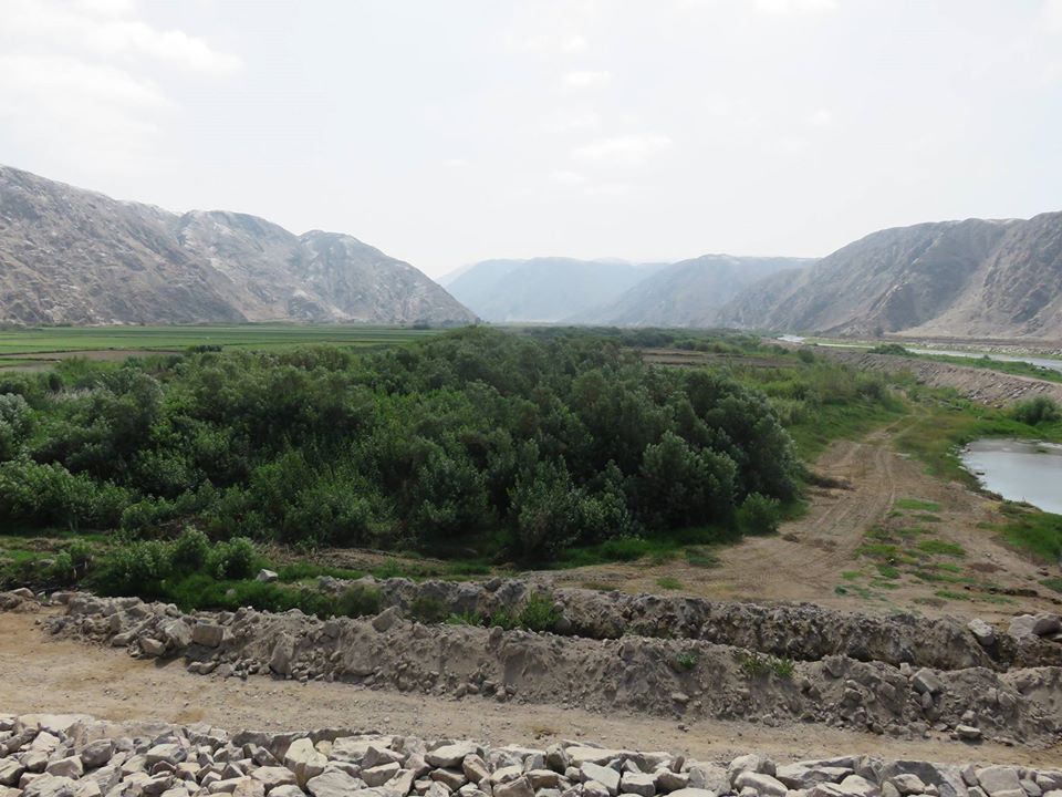 Valle del Río Quilca en Quilca