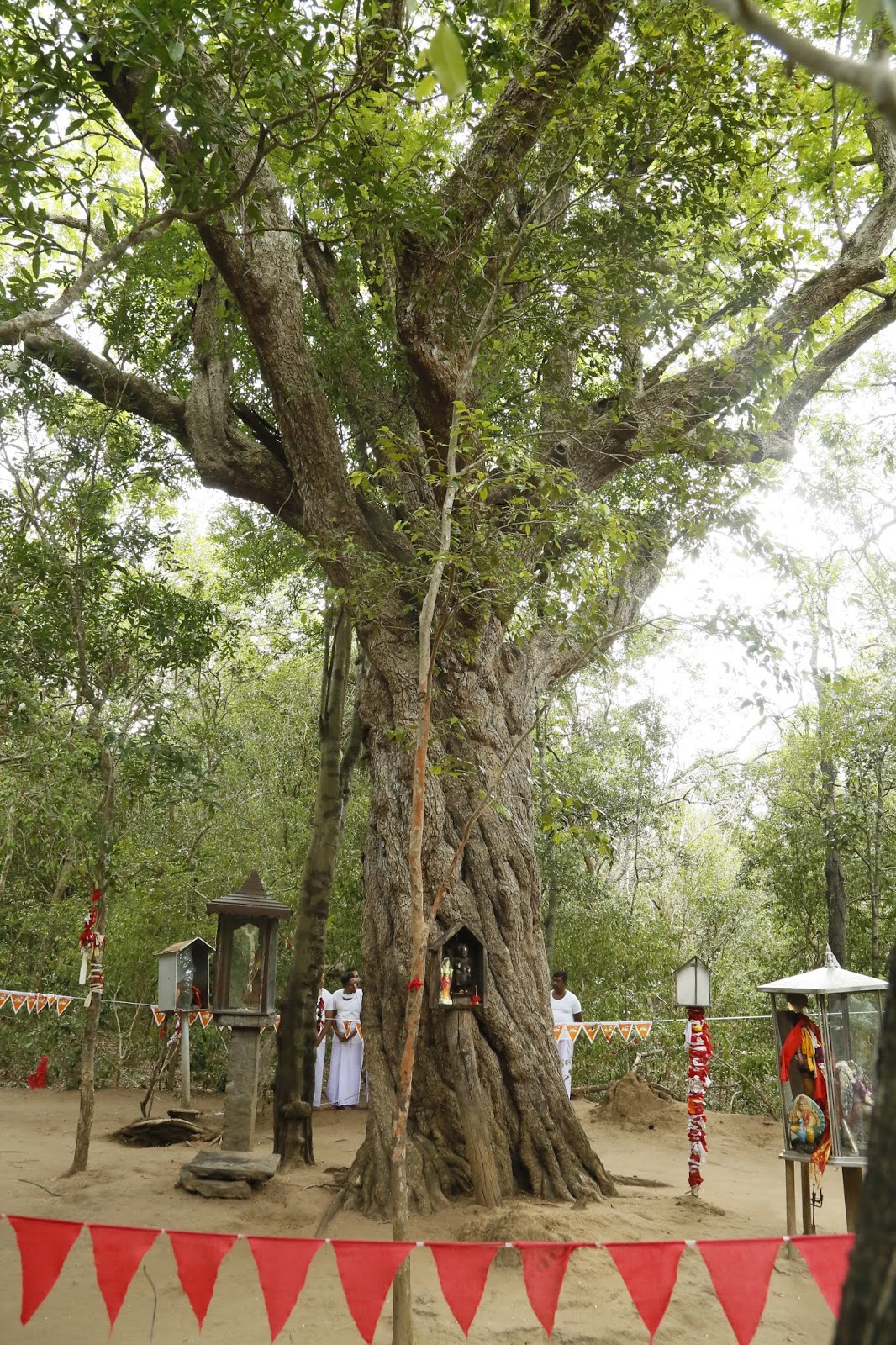 kebiliththa wajera colambo20191013