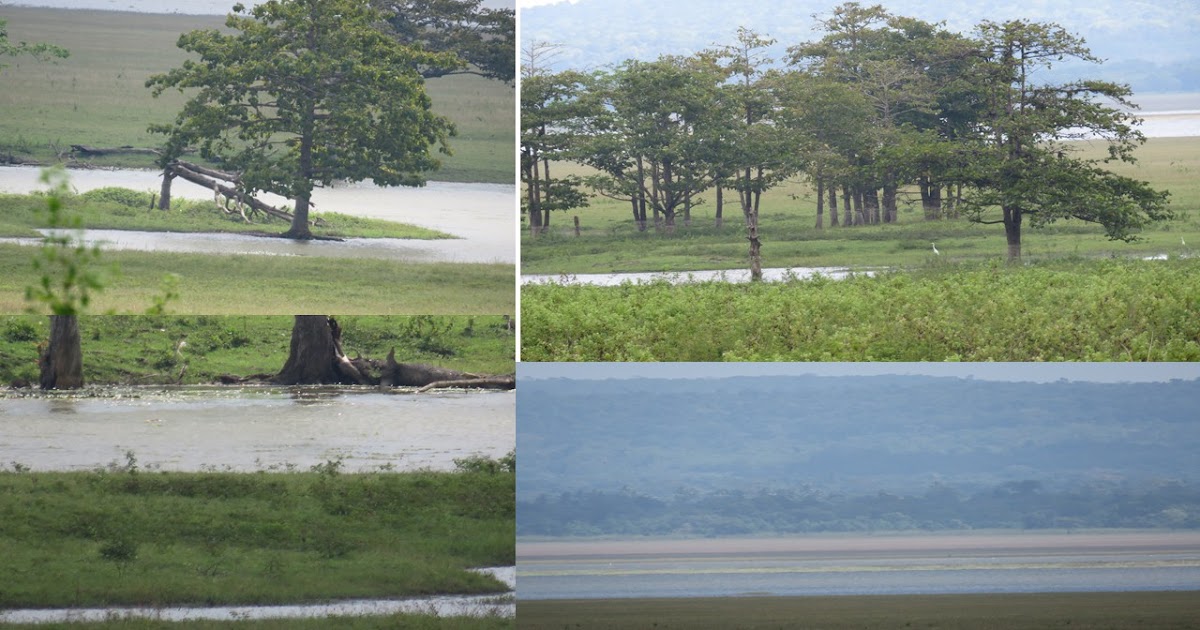 Profile ONG Prospek Timor Leste