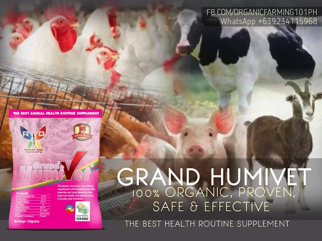 GRAND HUMIVET: The Best Health Routine Supplement (King HumiVet Repackaged)