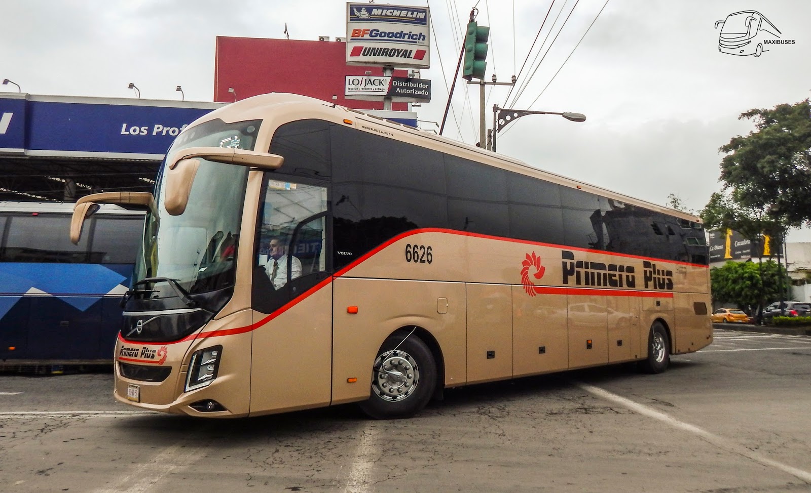 MAXIBUSES: PRIMERA PLUS