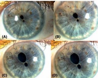 THE EMERGING PHARMD: 2015-04-05