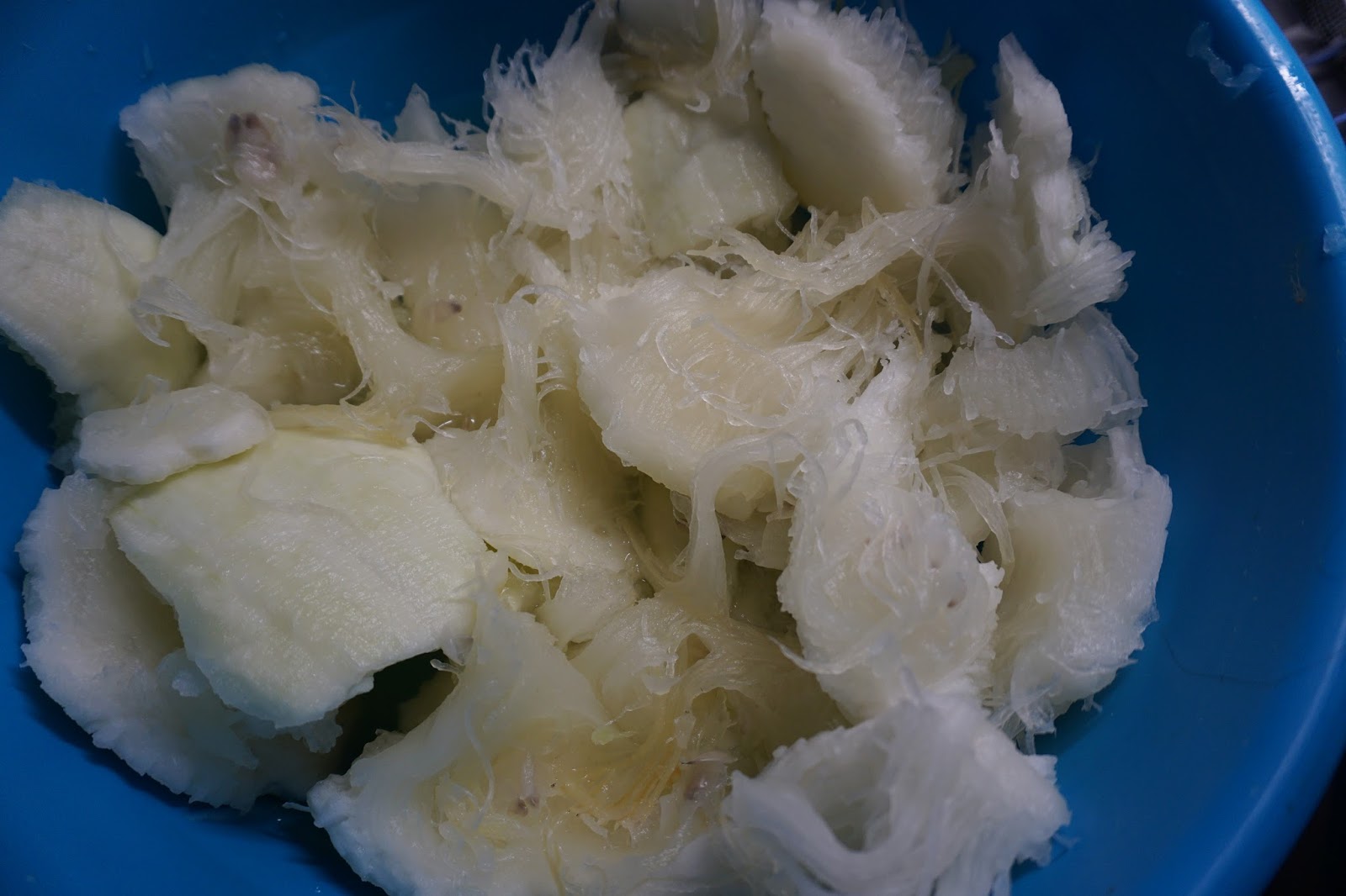 MEMÓRIAS D' AMANHÃ: DOCE DE ABÓBORA CHILA (ou GILA)