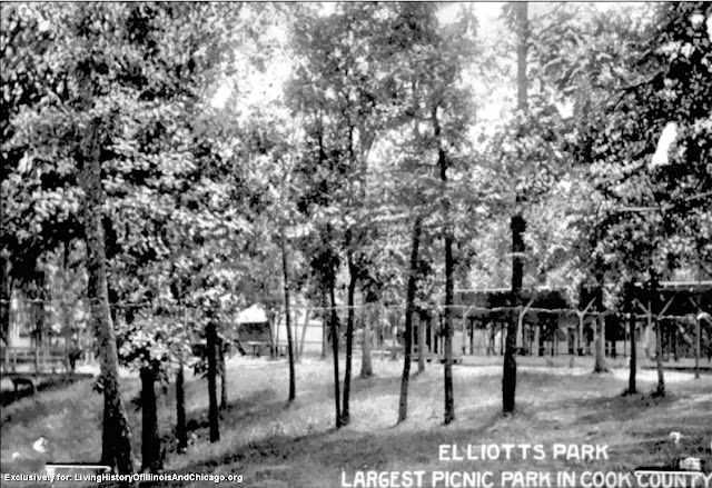 The Digital Research Library of Illinois History Journal™ : Elliott’s ...