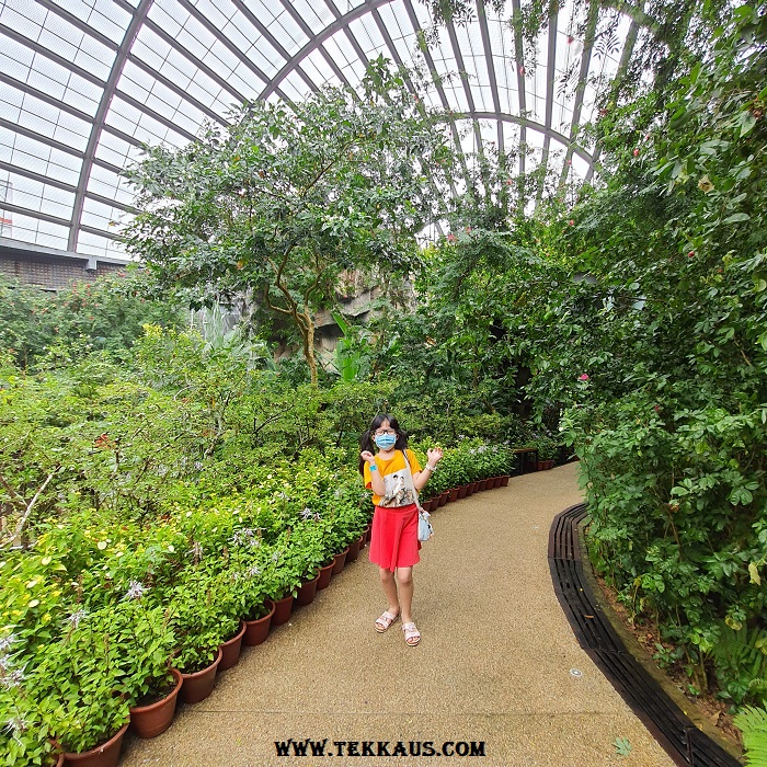 Entopia Penang Butterfly Farm Review | Tekkaus® | Malaysia Lifestyle ...