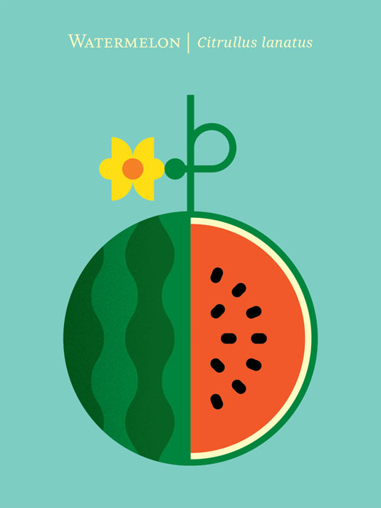 DESIGN: Fruit illustrations by Christopher Dina - The Graphic Foodie ...