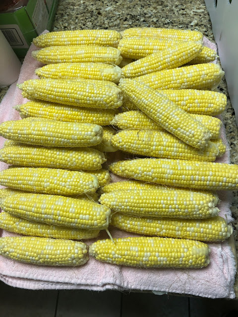 Timeless Bonds: Puttin' Up Corn