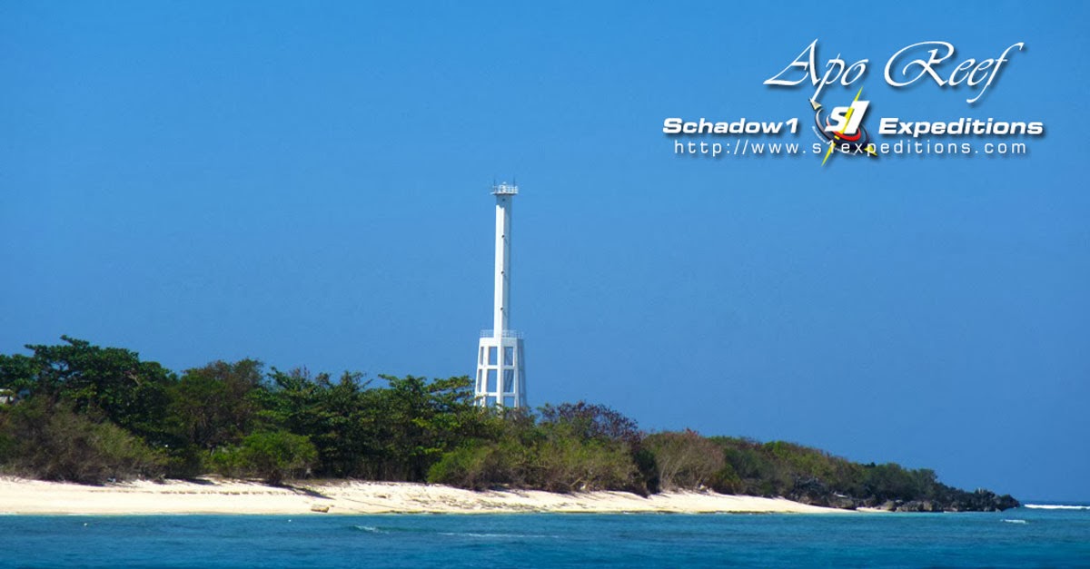 The Captivating Apo Reef of Mindoro - A reef diver and beach fanatic's ...