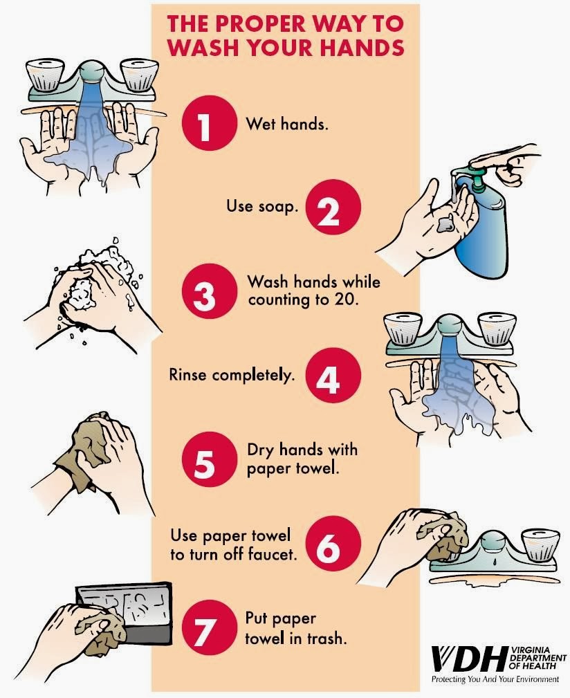The Wealth of Health: Proper Way to Wash Your Hand