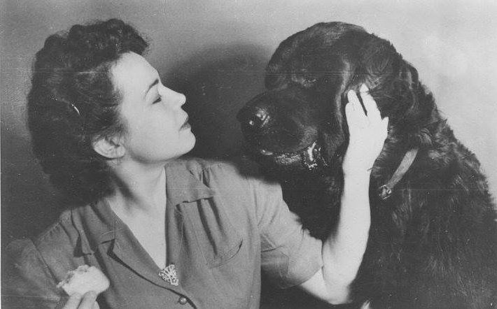 bare•bones e-zine: An Interview with Amanda Cockrell