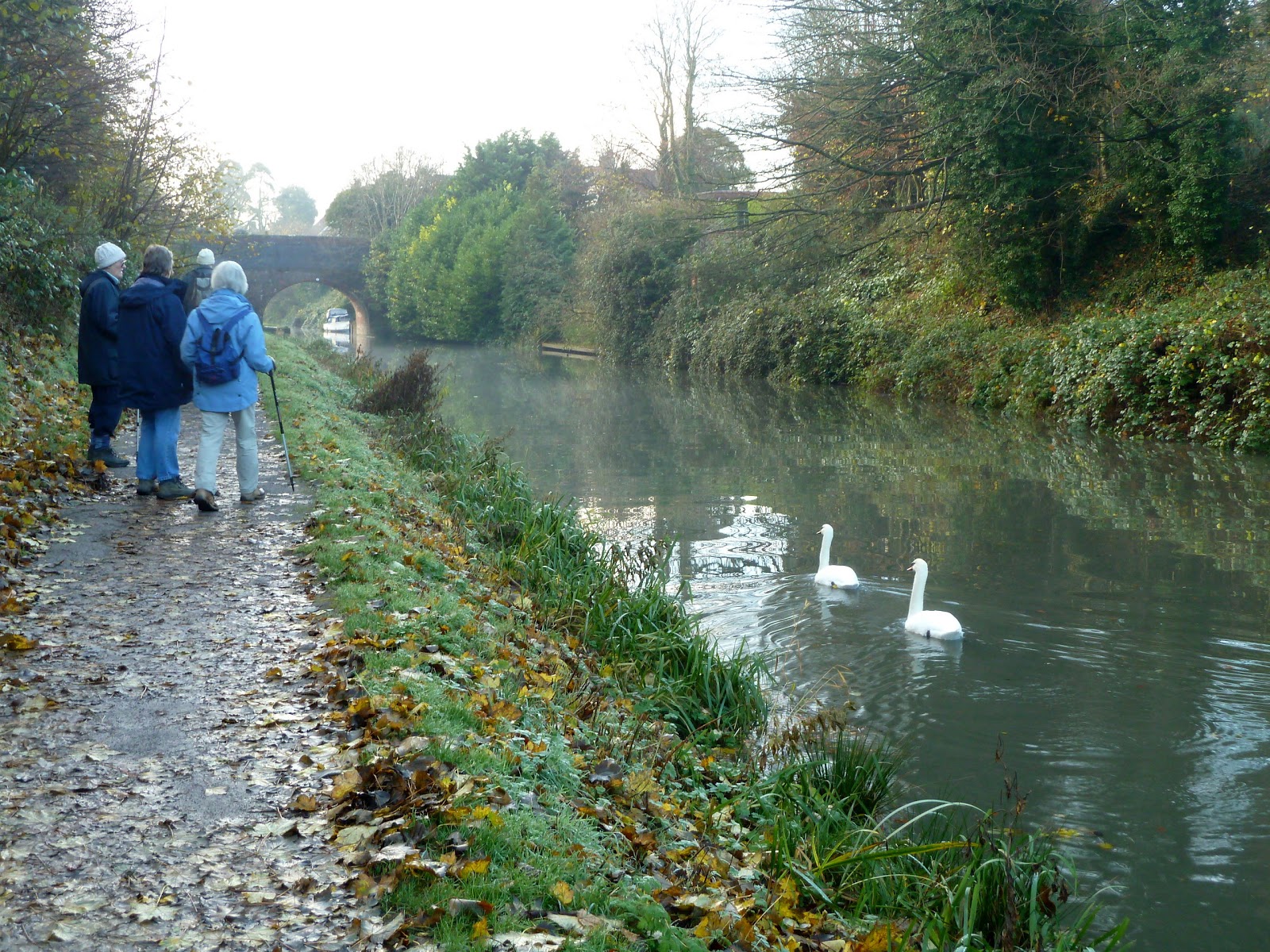 Devizes Days in Words and Pictures 2015: From Horton Bridge to Coate ...