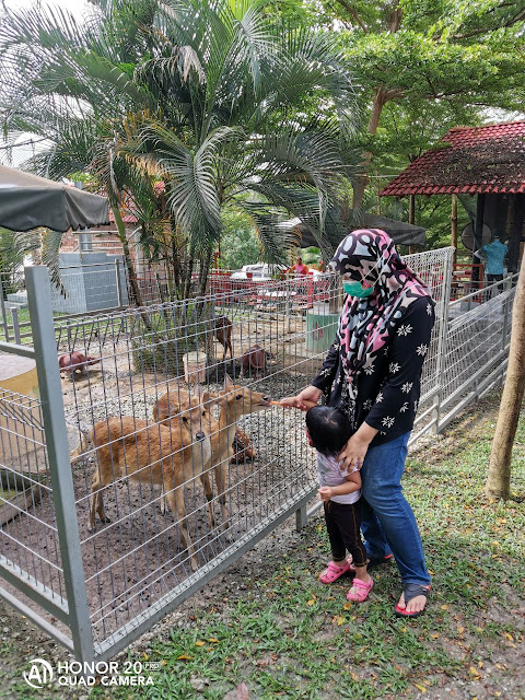 Syazni Rahim Blog: Ke Rabbit Fun Land Lenggeng Negeri Sembilan
