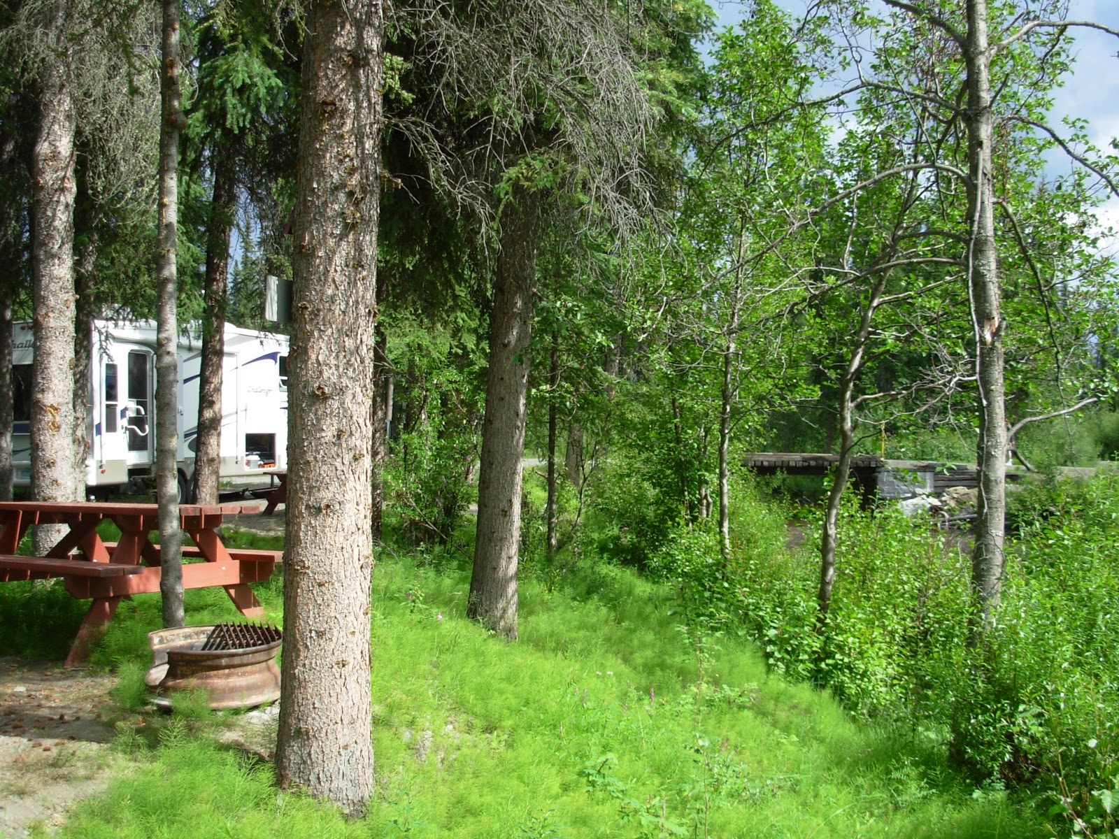 Nesbitt Travels: Tolsona Wilderness Campground, Alaska