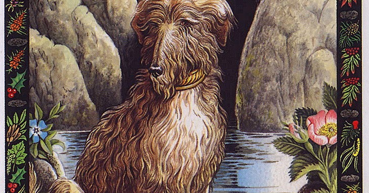 Druids Raven: Druid Animal Oracle: DOG