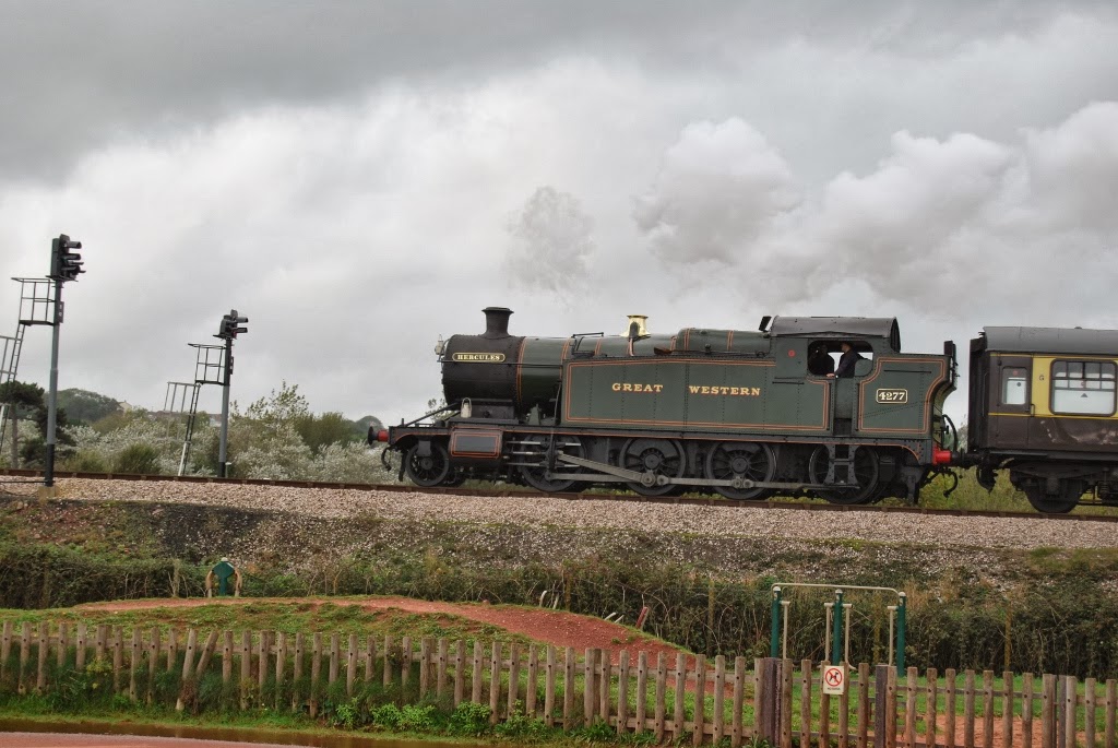 Living the Devon Dream: Goodrington Sands & Steam Train
