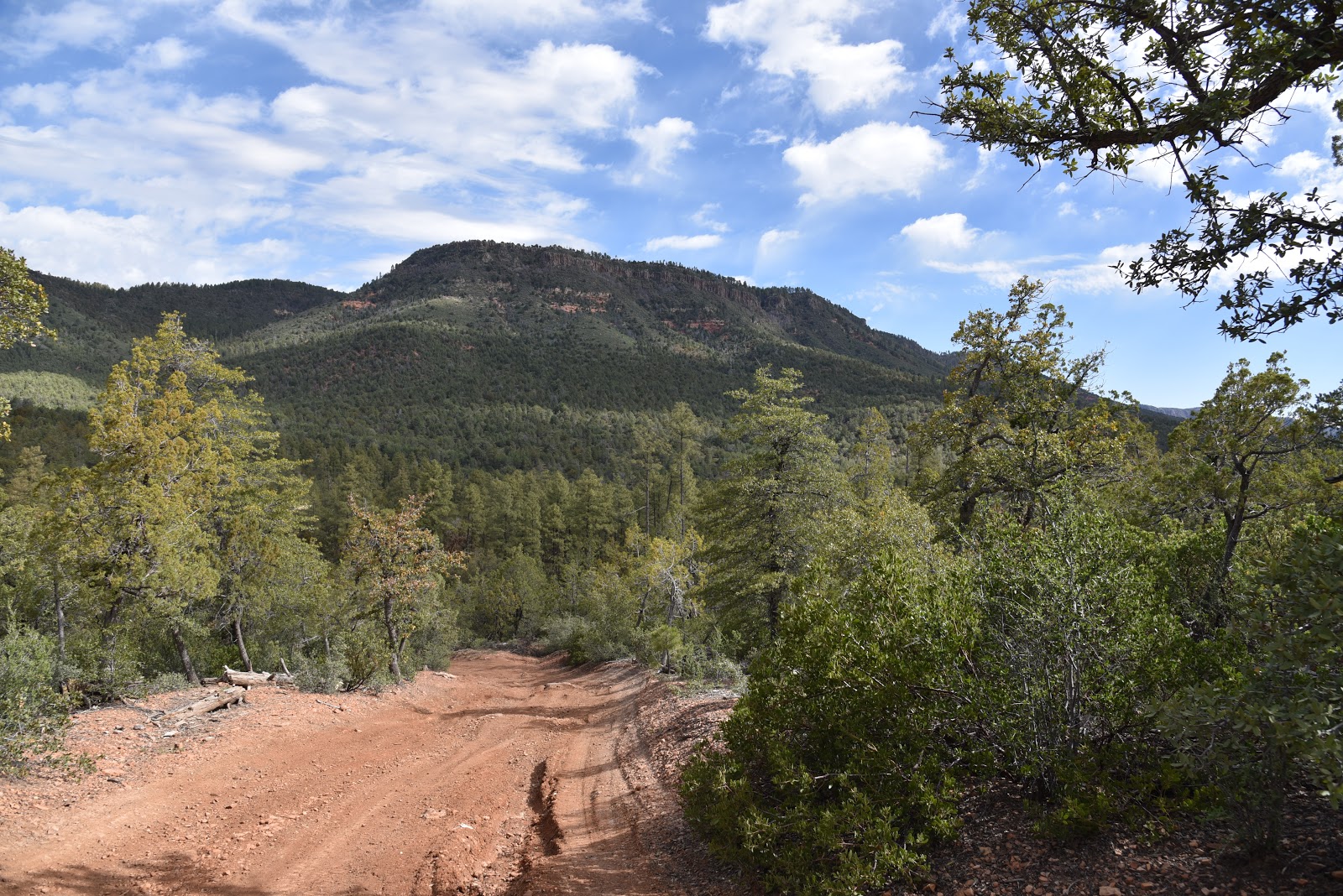 Arizona Hiking: CEDAR MESA