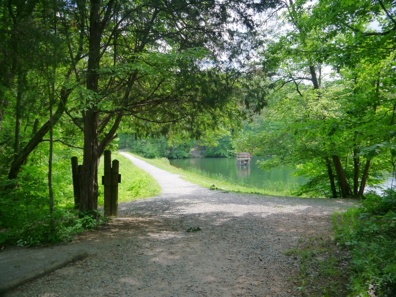 American Travel Journal: Benton Falls - Cherokee National Forest