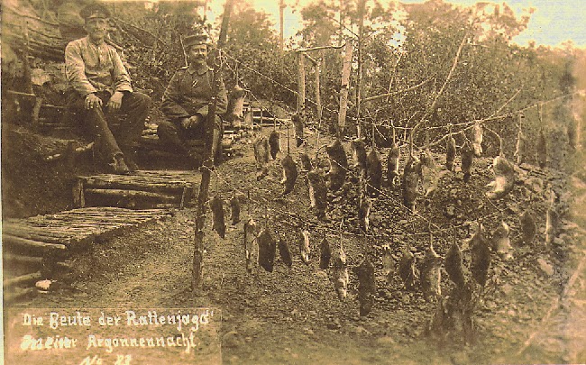 World War 1 Trench Rats