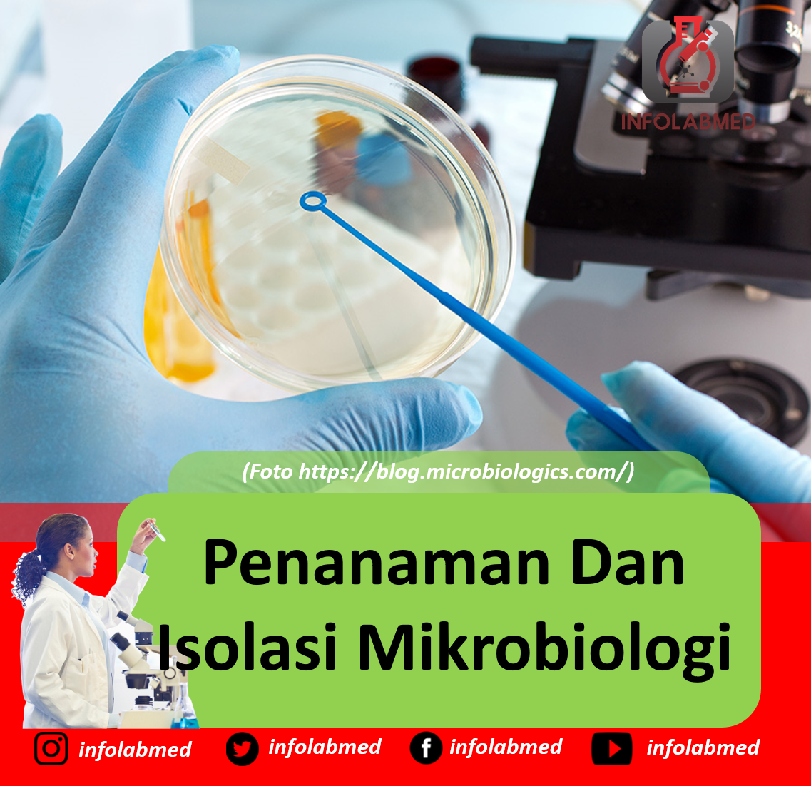 Penanaman Dan Isolasi Mikrobiologi