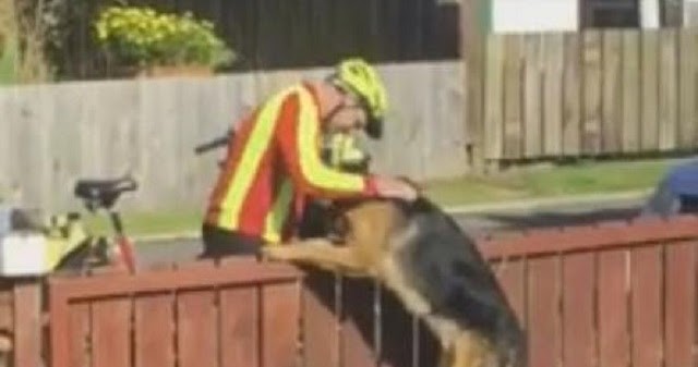 [CONMOVEDOR] Cámara escondida muestra la dulce rutina de un cartero con ...