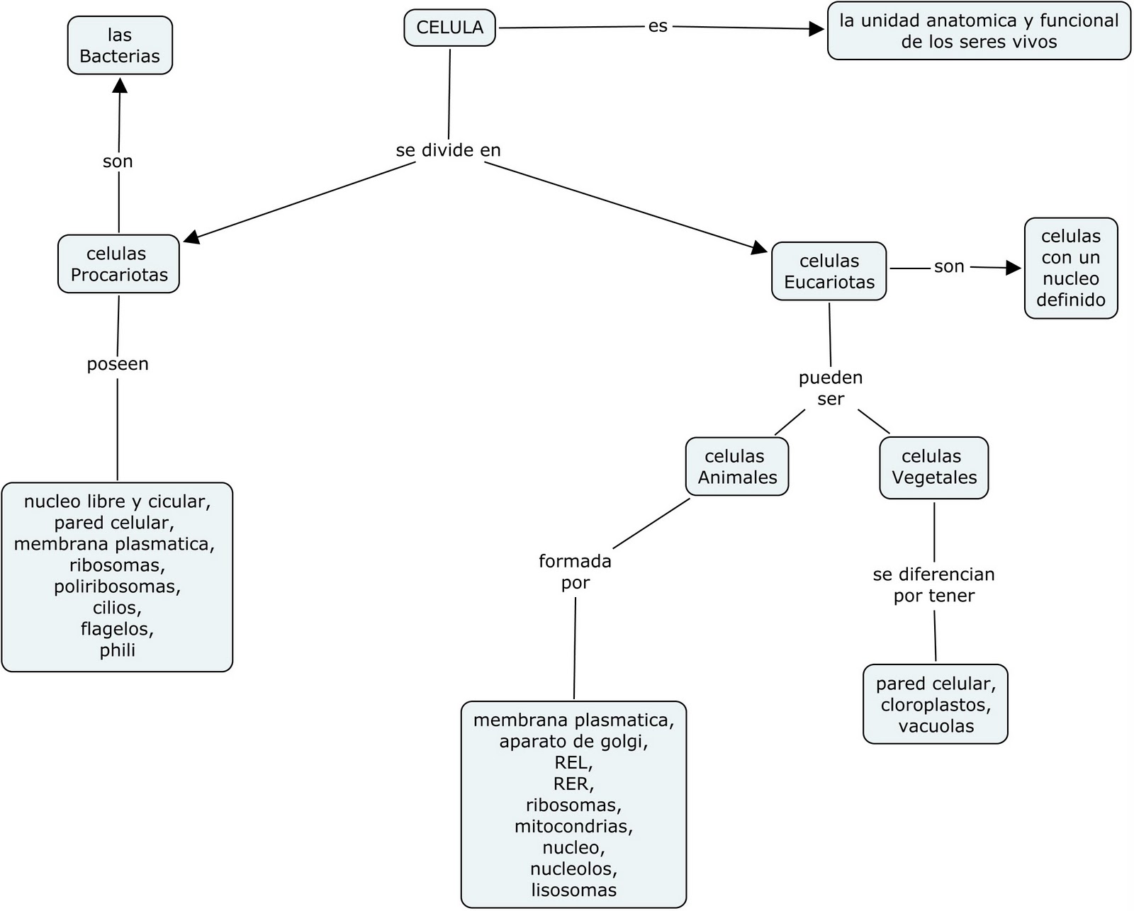 LA NUEVA BIOLOGIA: Mapa Conceptual sobre La Celula