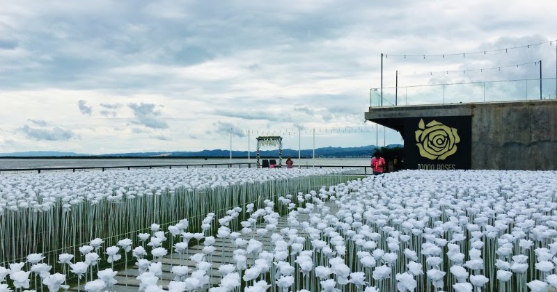 10,000 Roses Cebu - Cordova, Cebu, Philippines
