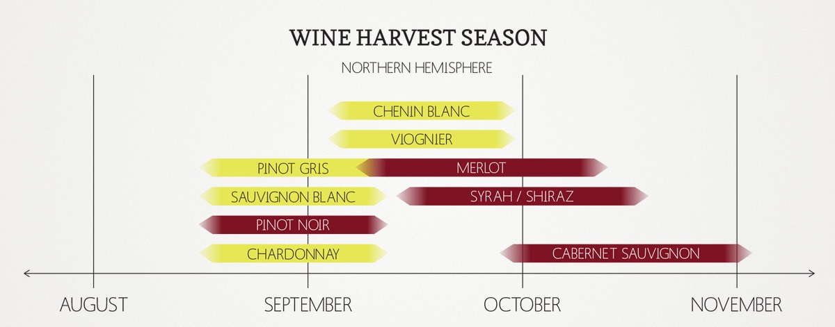 Wine-Knows: Fine Wine & Gourmet Food Journeys for the Discerning ...