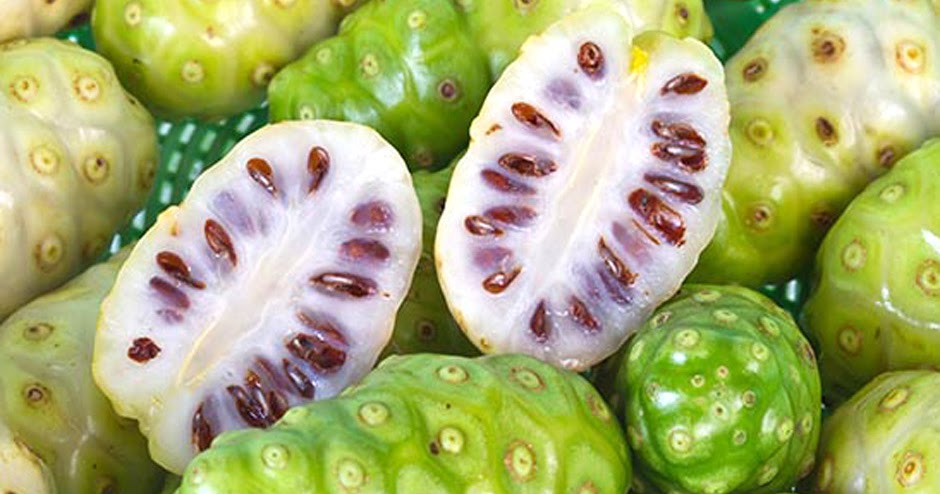 ¿Que es el Noni y para que sirve? - Equipo Embajadores DXN